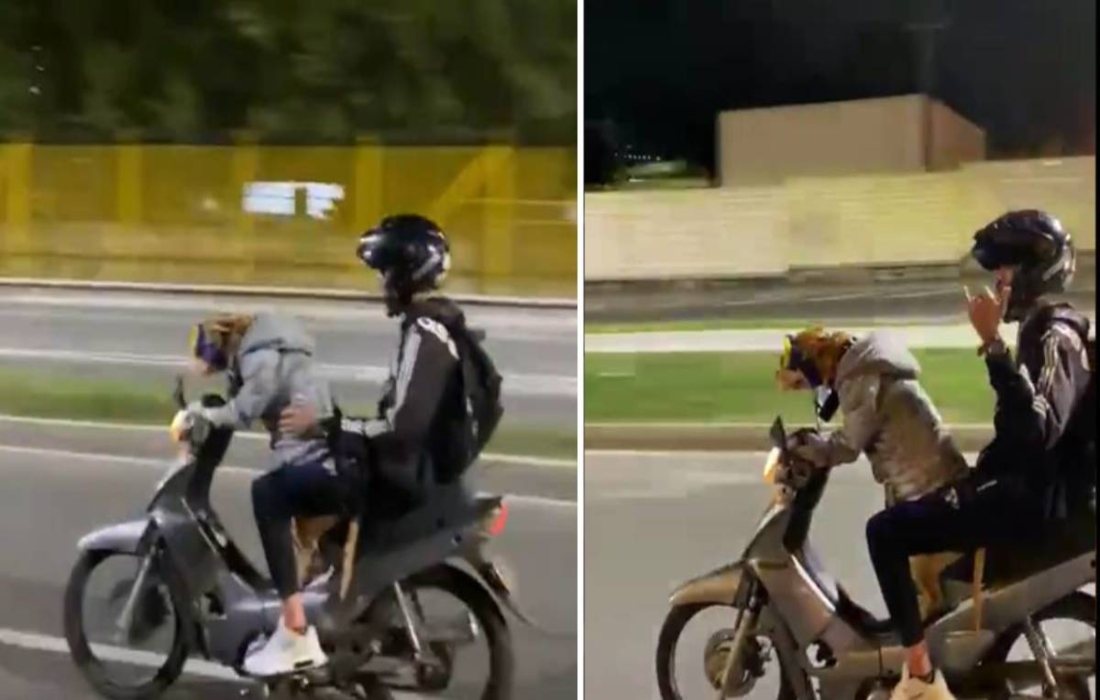 Perro se hace tendencia al manejar motocicleta - The México Network
